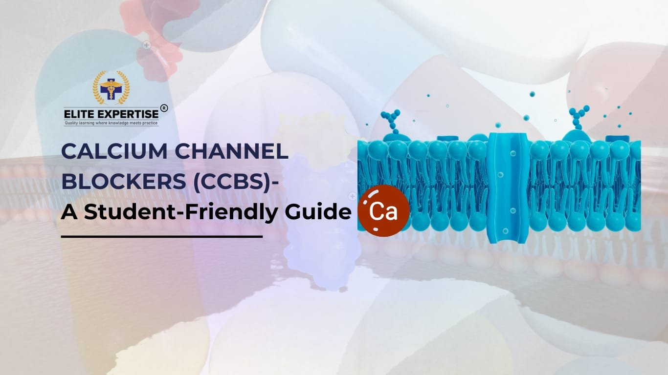 Calcium Channel Blockers: A Student-Friendly Guide